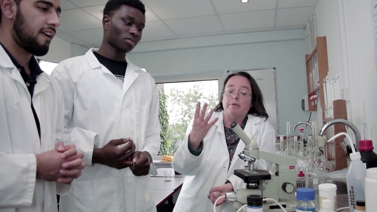 Lab lesson at Cambridge Seminars College - YouTube