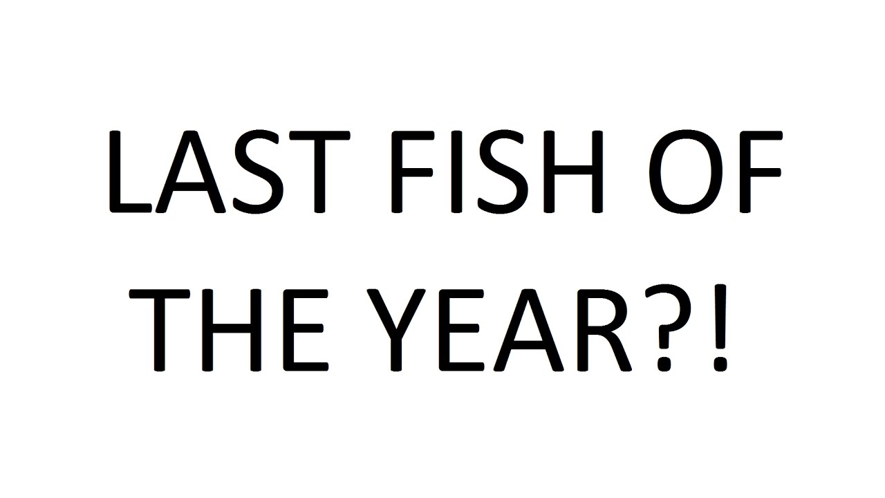 Last Fish of the Year?! - YouTube