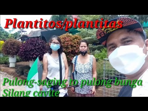 Plant hunting @ pulong saging to pulong bunga/ Silang Cavite - YouTube