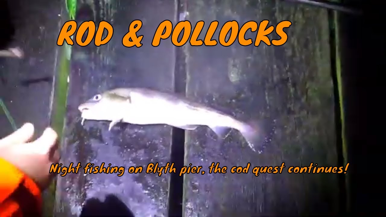 Night fishing on Blyth pier, the cod quest continues! - YouTube