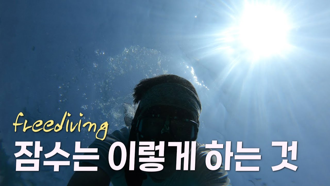 바다 수영 중 잠수방법 /프리다이빙 입문 freediving cwt, fim - YouTube