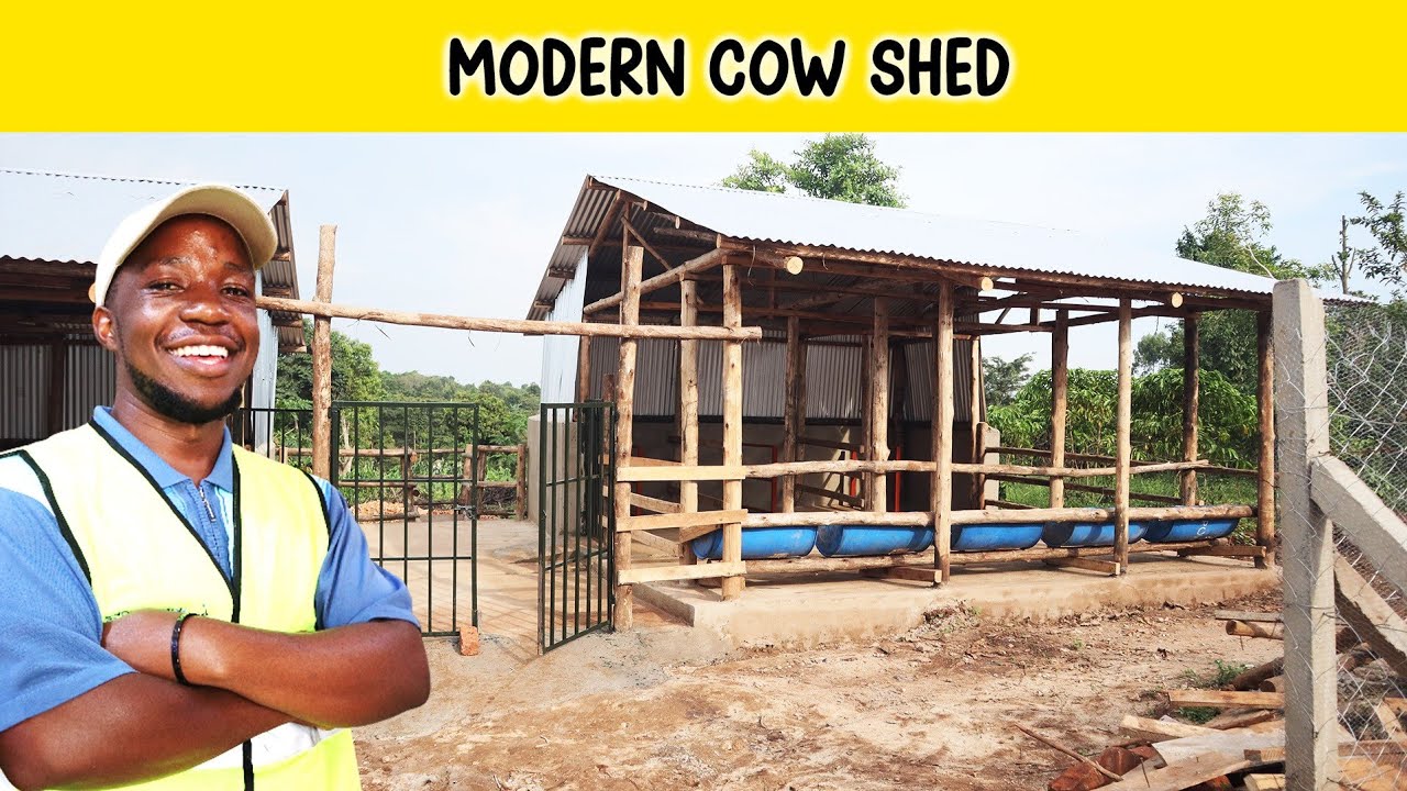 How to Setup a premium 10 Cow Shed Setup Explained | 2026 - YouTube