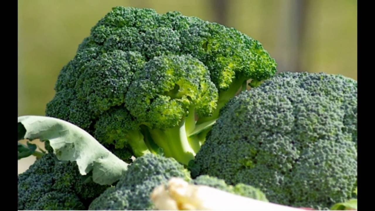 Organic Foods List Organic Foods YouTube organic-foods-list-organic-foods-youtube