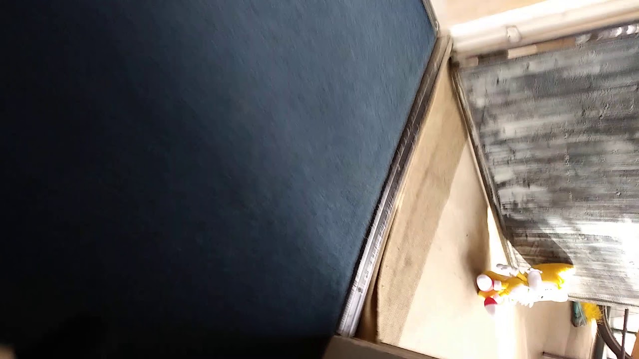 Short tails visits - YouTube