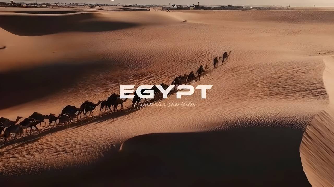 Official Video Trap Sha3by Egypt تراب شعبي Youtube