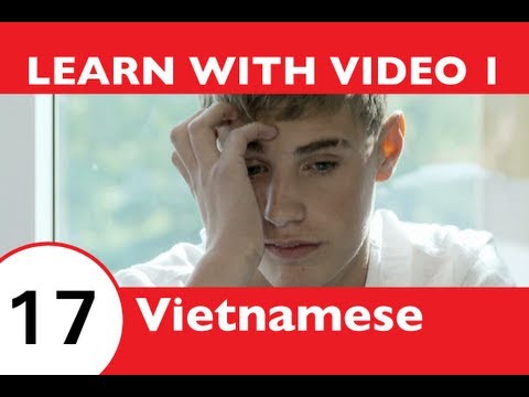 Learn Vietnamese with Video - Would Your Vietnamese Skills Help You Out ...