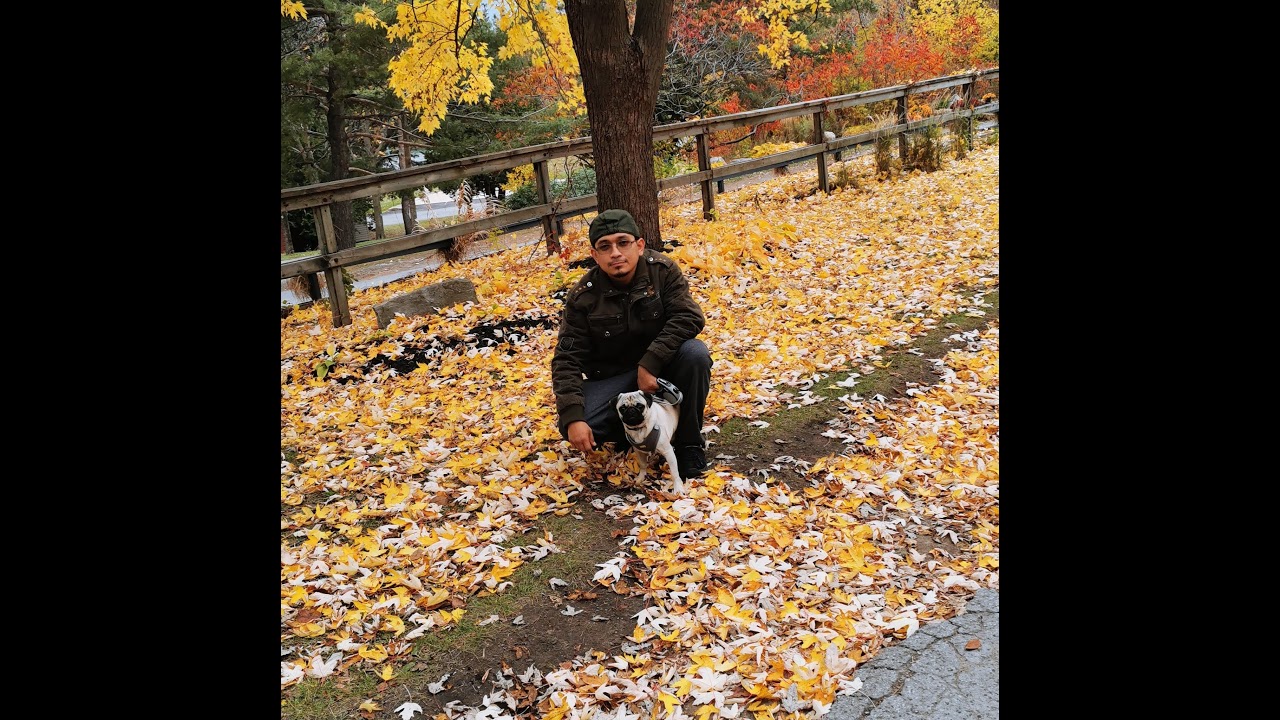 Emisión en directo de sam Jimenez - YouTube