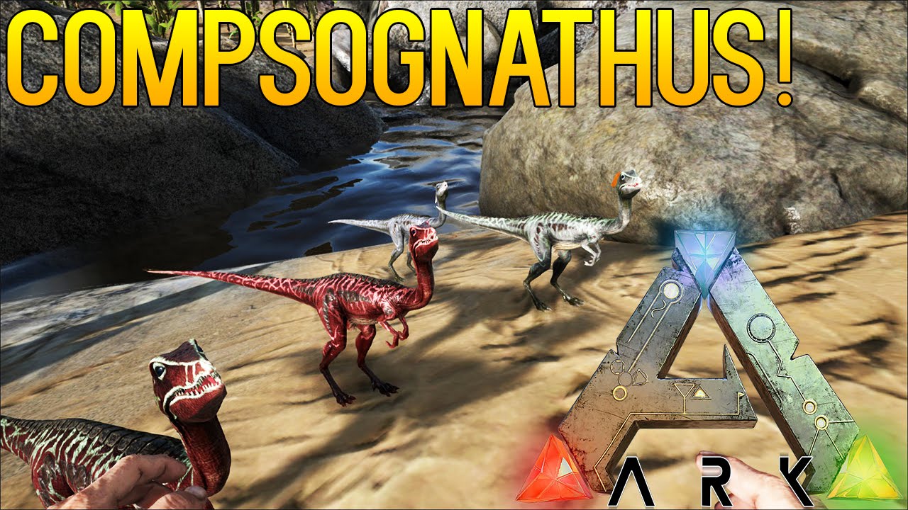ARK: SURVIVAL EVOLVED | PATCH 224 | COMPSOGNATHUS - YouTube