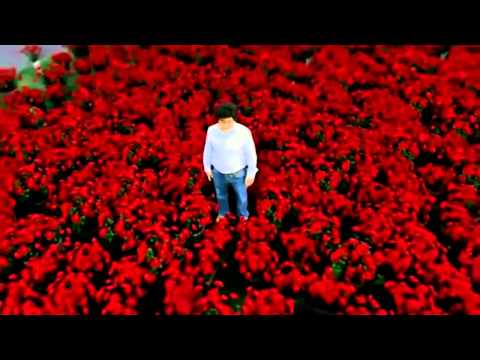 Milion milion alix roz. Milion roses