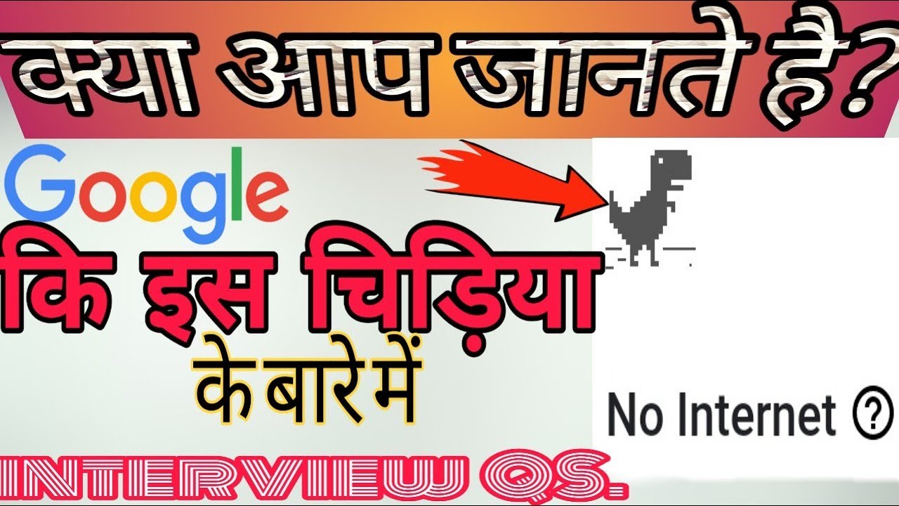 What is work & features of Google bird 🐦||Motivategalaxy - YouTube