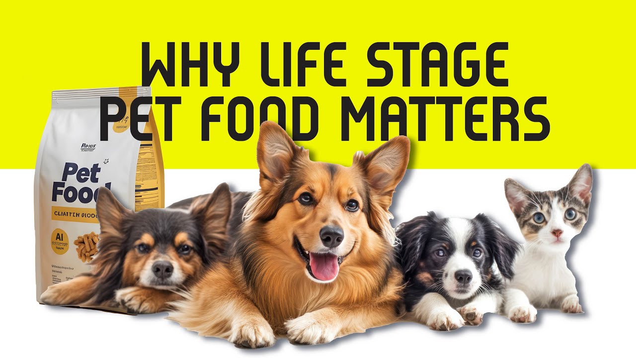 Why Life Stage Pet Foods Matter - YouTube