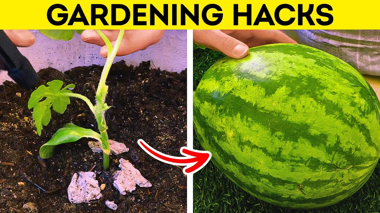 Discovering the Best Gardening & Farm Hacks! - YouTube