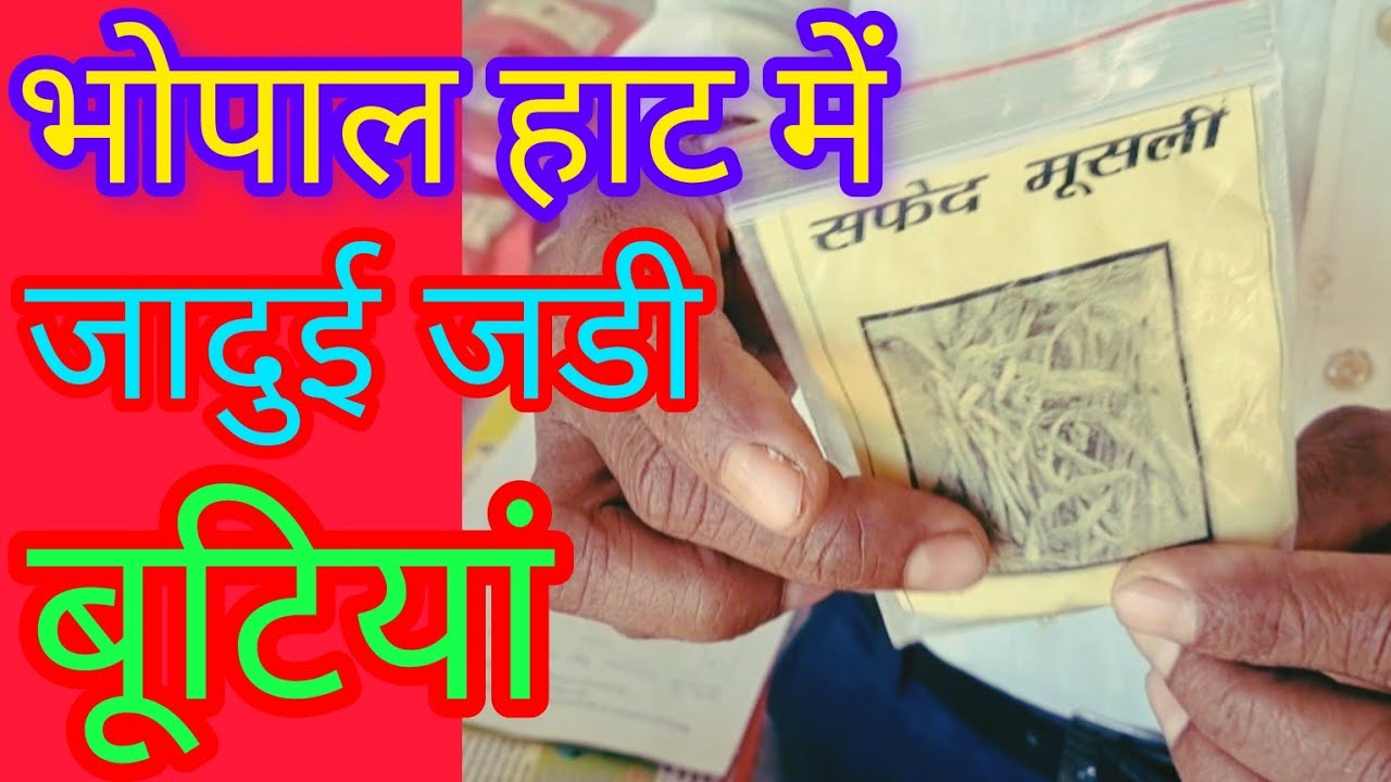 भोपाल हाट जादुई जडी बूटियां/magical herbs bhopal haat - YouTube
