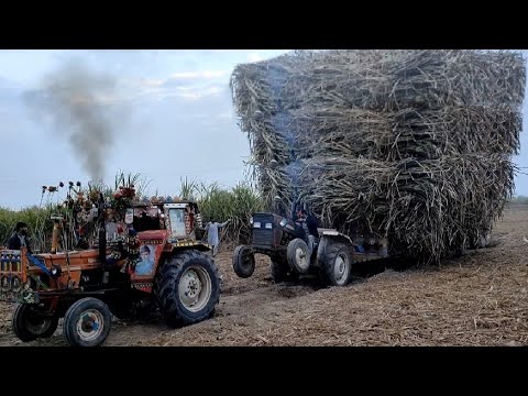 great and powerful Ford Tractor sugar cane load Trolley||JCB help Ford ...