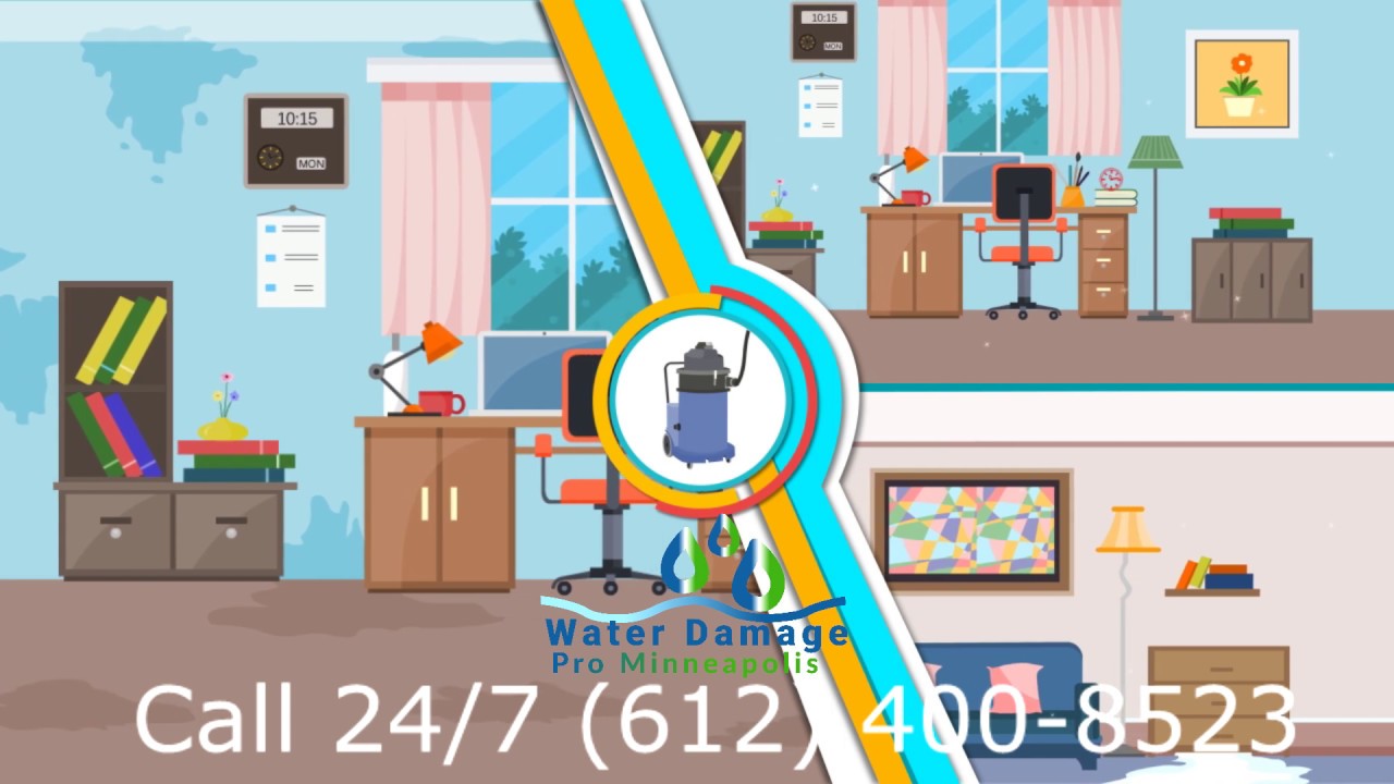 Mold Removal Specialist in Minneapolis MN - YouTube