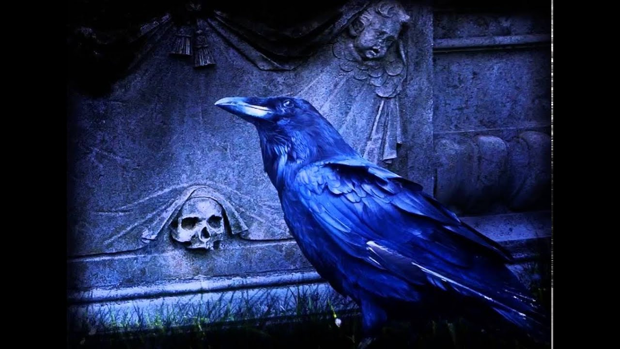 Frankie Ravenscroft - "Here Come The Raven" - YouTube