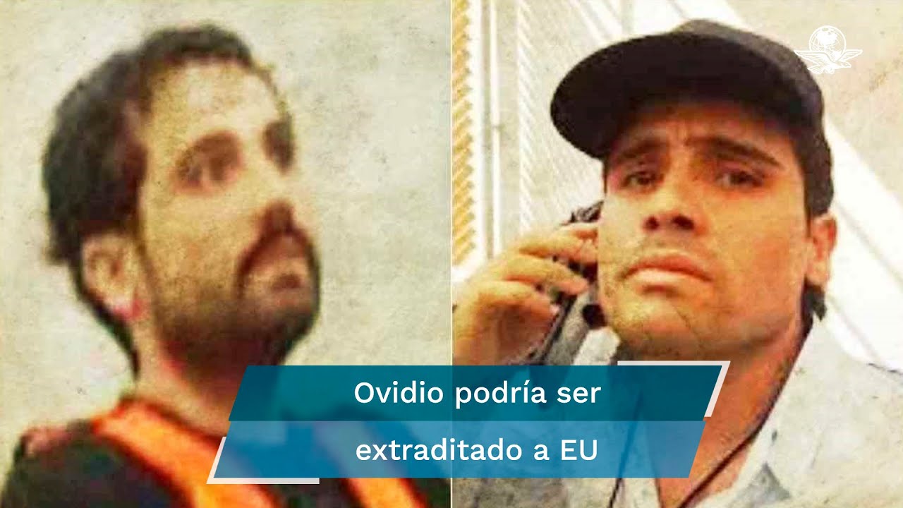 Por anomalía en firma de Ovidio Guzmán, juez declara improcedente el ...
