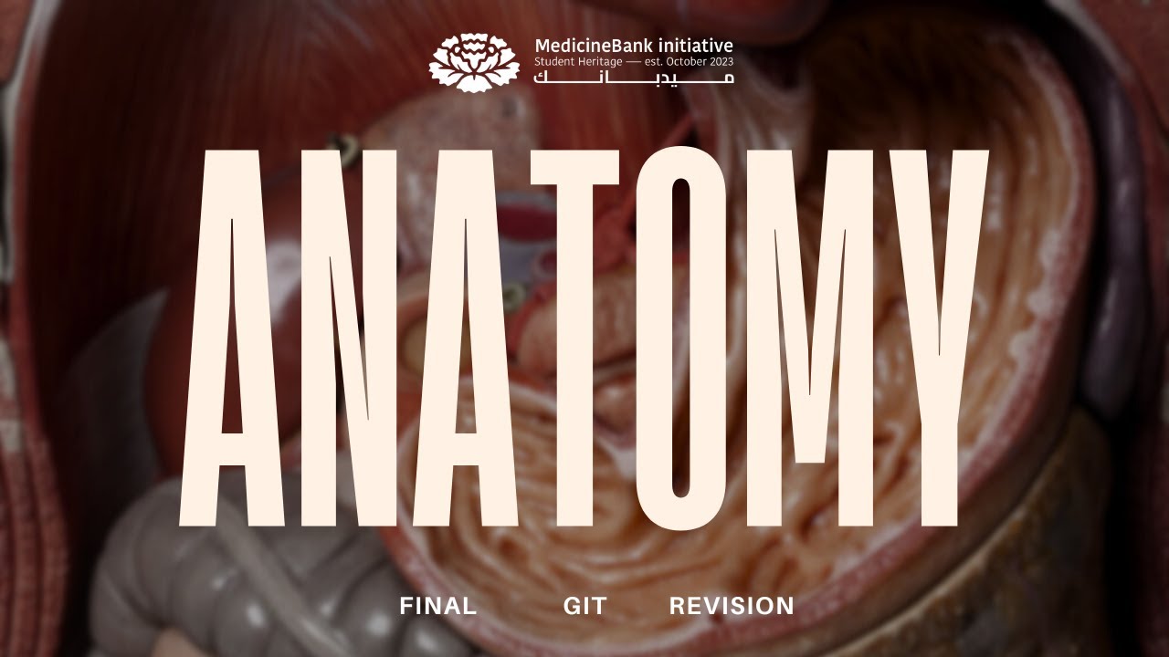 Anatomy GIT Final Revision Lecture [Part1] - YouTube