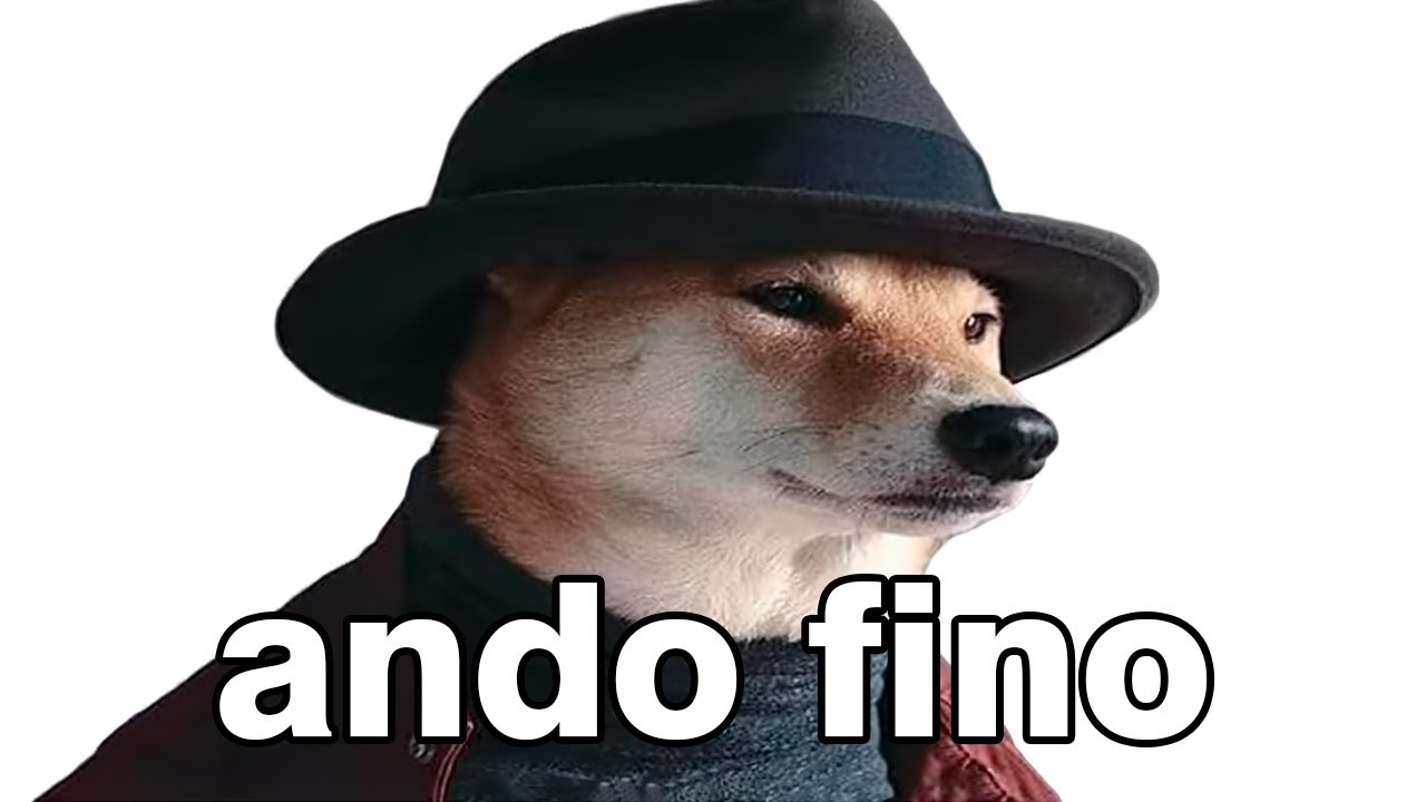 Shitpost Compilation V6 | Shitpost Español - YouTube