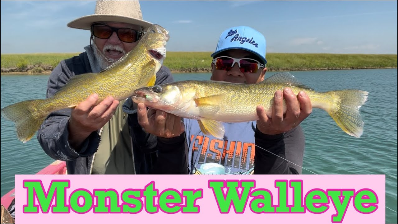 MASSIVE MONSTER WALLEYE FISHING ALBERTA (Part 1) - YouTube