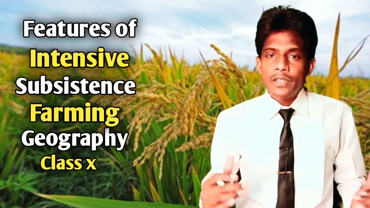Describe Any Five Features Of Intensive Subsistence Farming Intensive describe-any-five-features-of-intensive-subsistence-farming-intensive