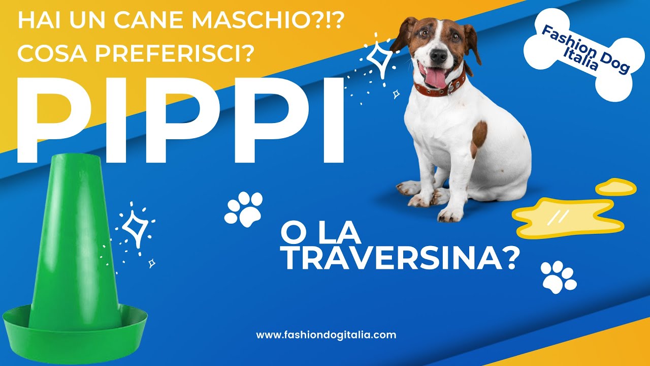 Per la pipì del cane maschio è meglio la traversina o Pippi? - YouTube