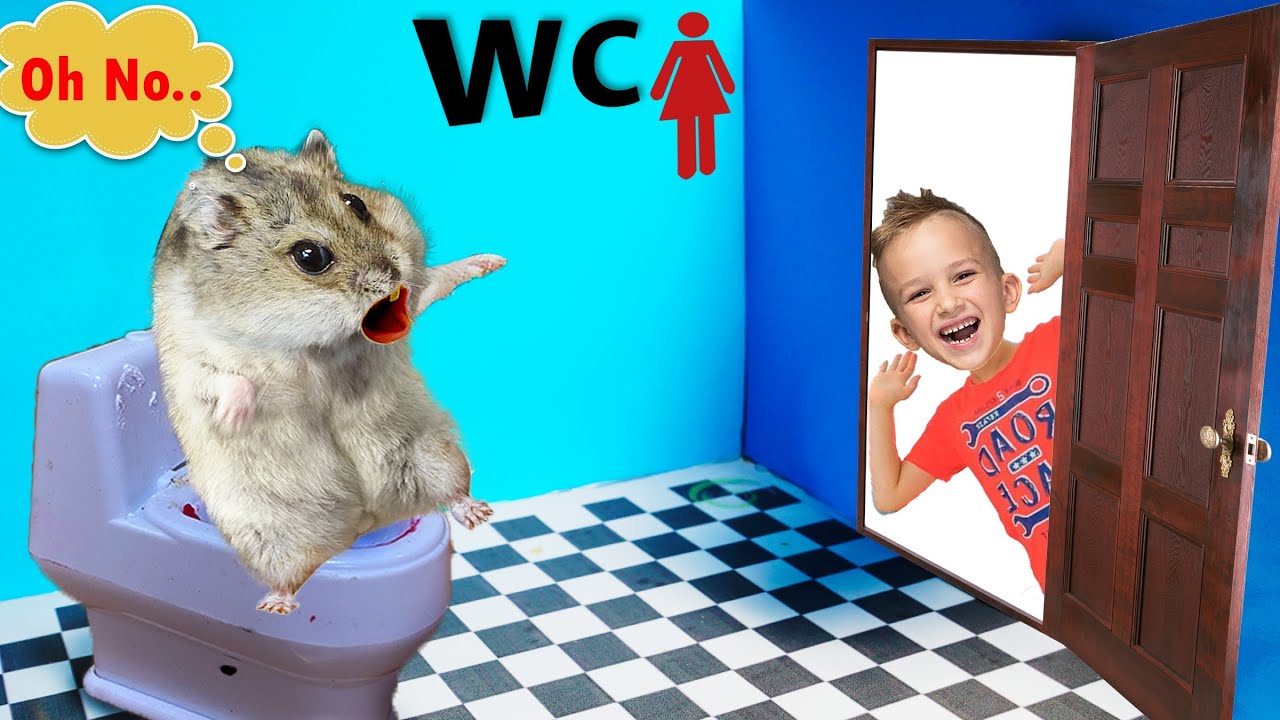Hey Vlad! Don't peek at me😭 Mister Hamster go to toilet | Funny ...