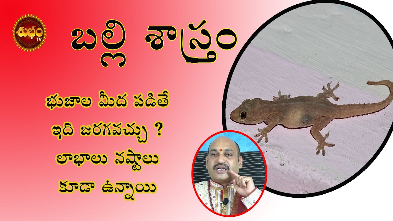 బల్లి భుజం మీద పడితే | Balli | Balli Bhujam Meeda Padithe Em ...