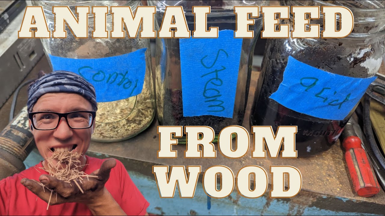 Making animal feed from wood chips experiment - YouTube