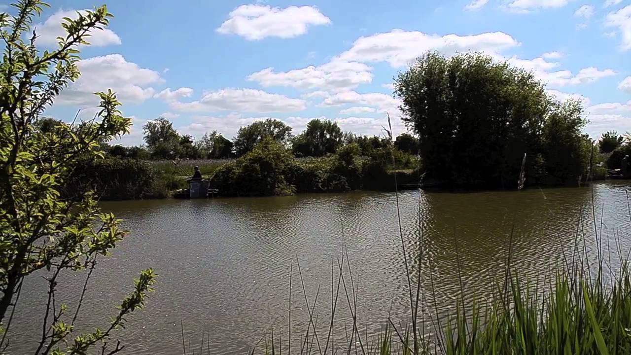 PAWLETT PONDS, PAWLETT, BRIDGWATER, SOMERSET - YouTube