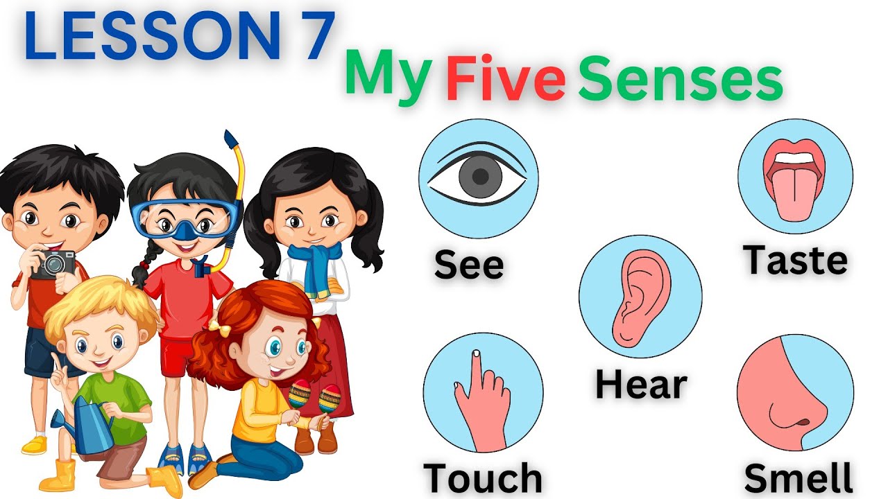My five senses | English Learning and Reading activity for kids ...