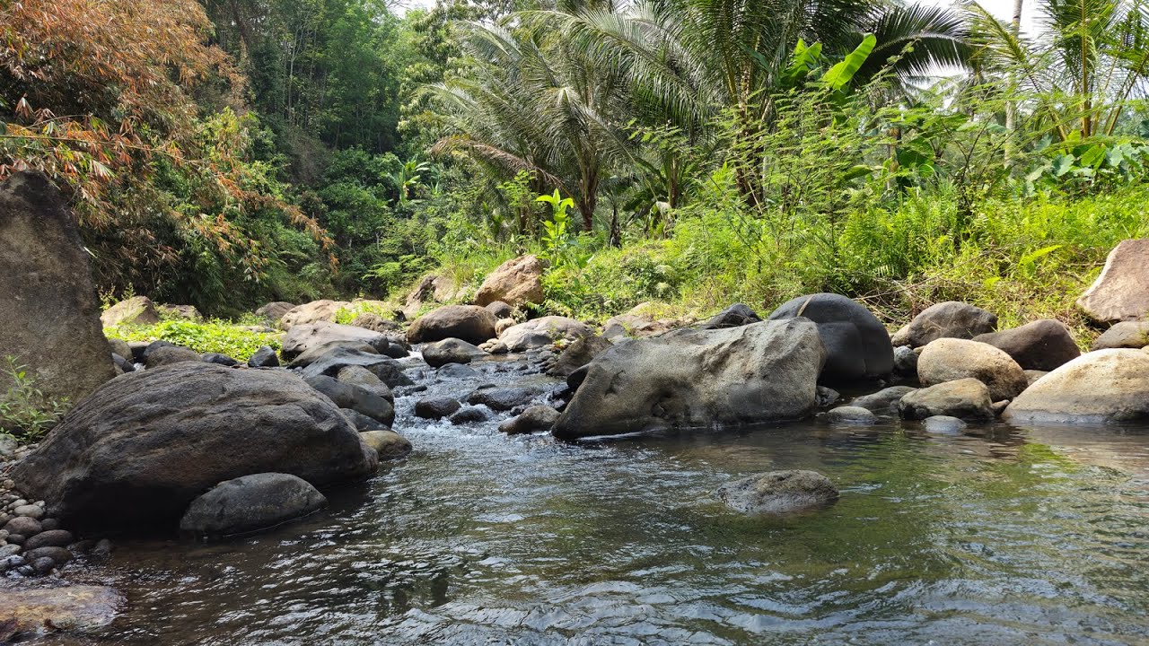4K Pure River Harmony. Sacred Waters Flow. Soothing River Flow & Nature ...