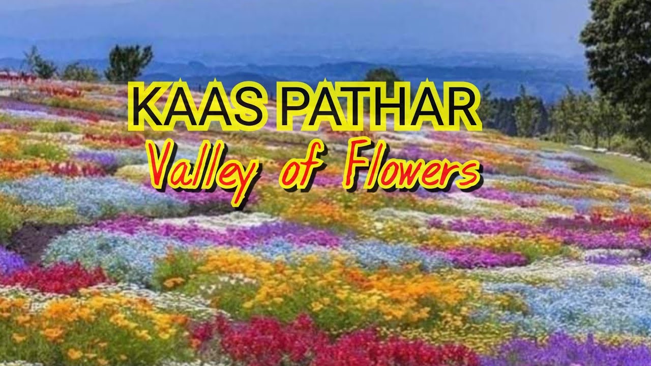 Vlog#16 KAAS PLATEAU: VALLEY OF FLOWERS | world heritage site | best ...