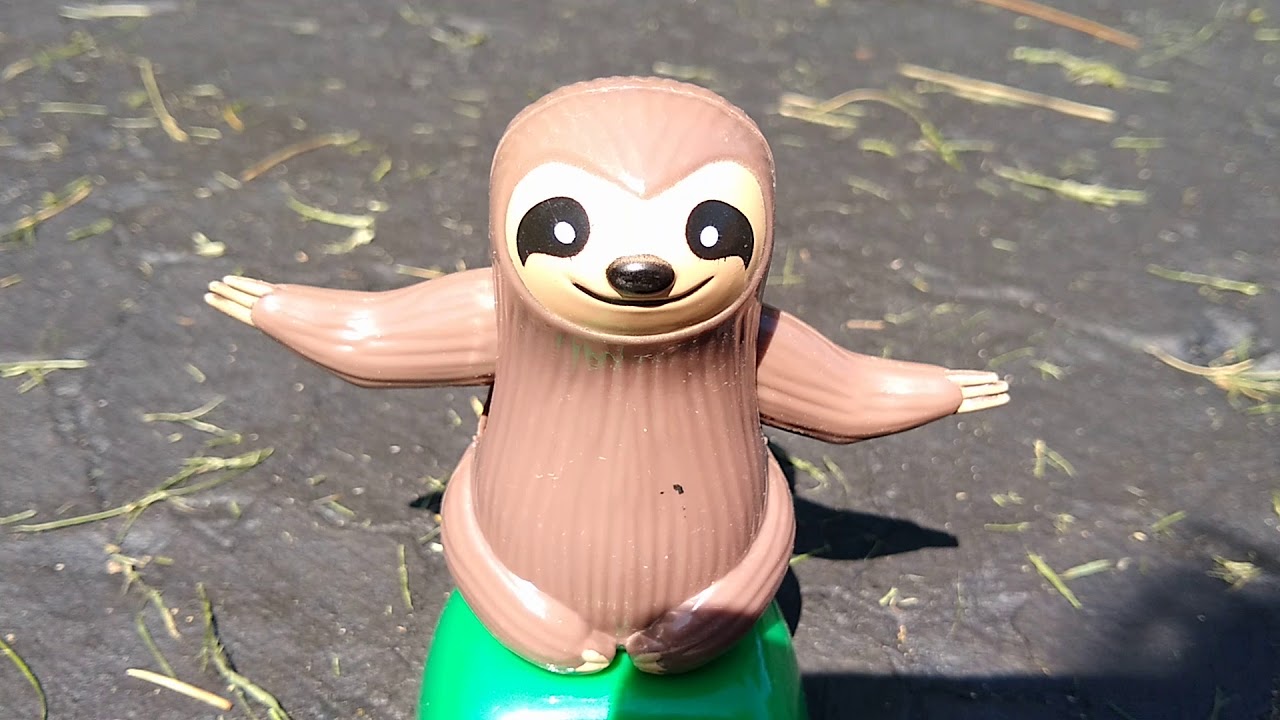 SLOTH SUN DANCER!!!! SLOTH MOVING IN THE SUN!!!!! - YouTube