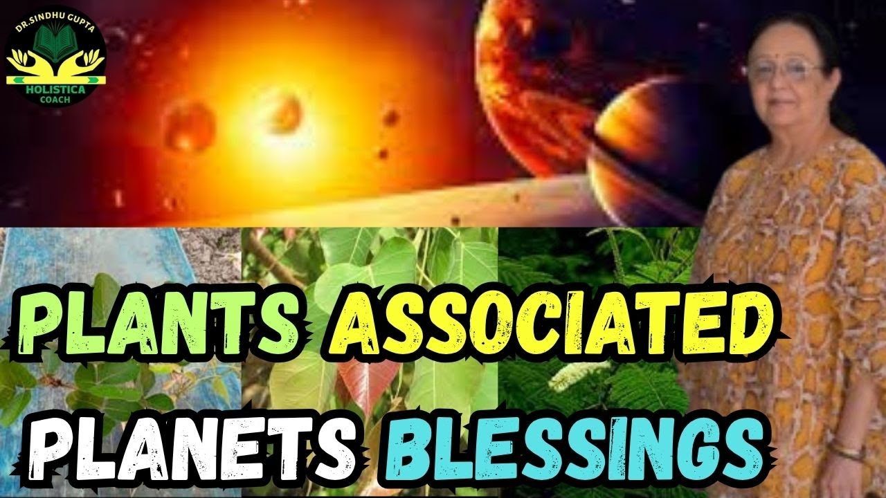 PLANTS IMPORTANCE TO RECEIVE MORE BLESSINGS FROM ALL 9 PLANETS 🪐🌎🌍🪐🌝🌚🌙🌗 ...