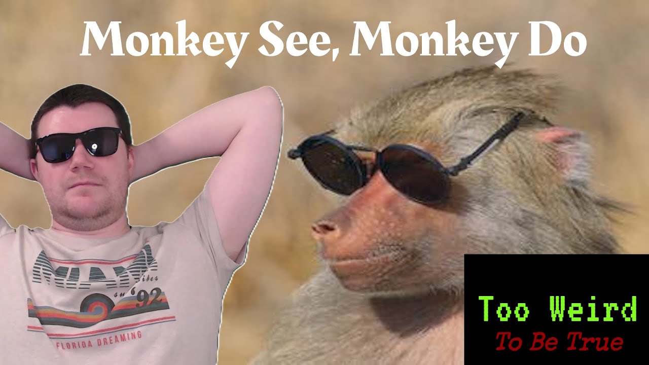 Monkey See, Monkey Do - Too Weird To Be True - YouTube