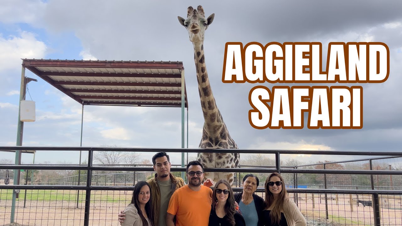 EL MEJOR SAFARI EN TEXAS (AGGIELAND SAFARI, BRYAN,TX) - YouTube