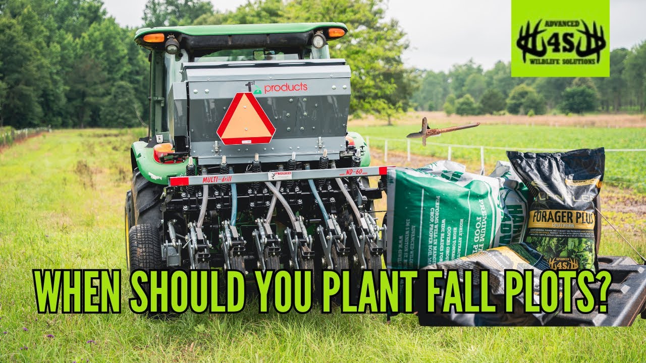 When Should You Plant Fall Food Plots?? - YouTube