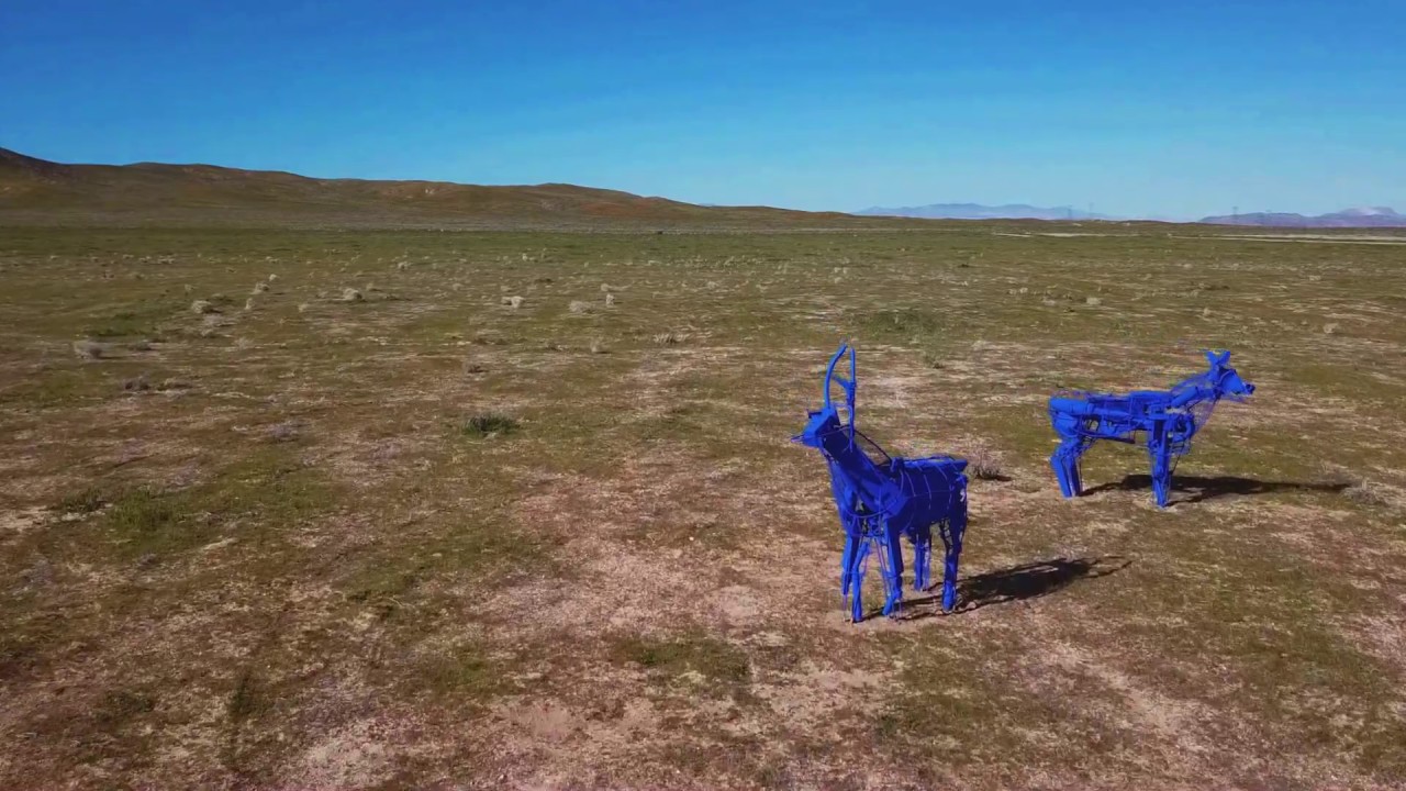 Blue Antelope - YouTube