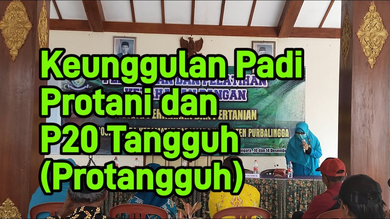 Pengenalan Varietas Unggul Unsoed Protani dan P20 Tangguh (Protangguh ...
