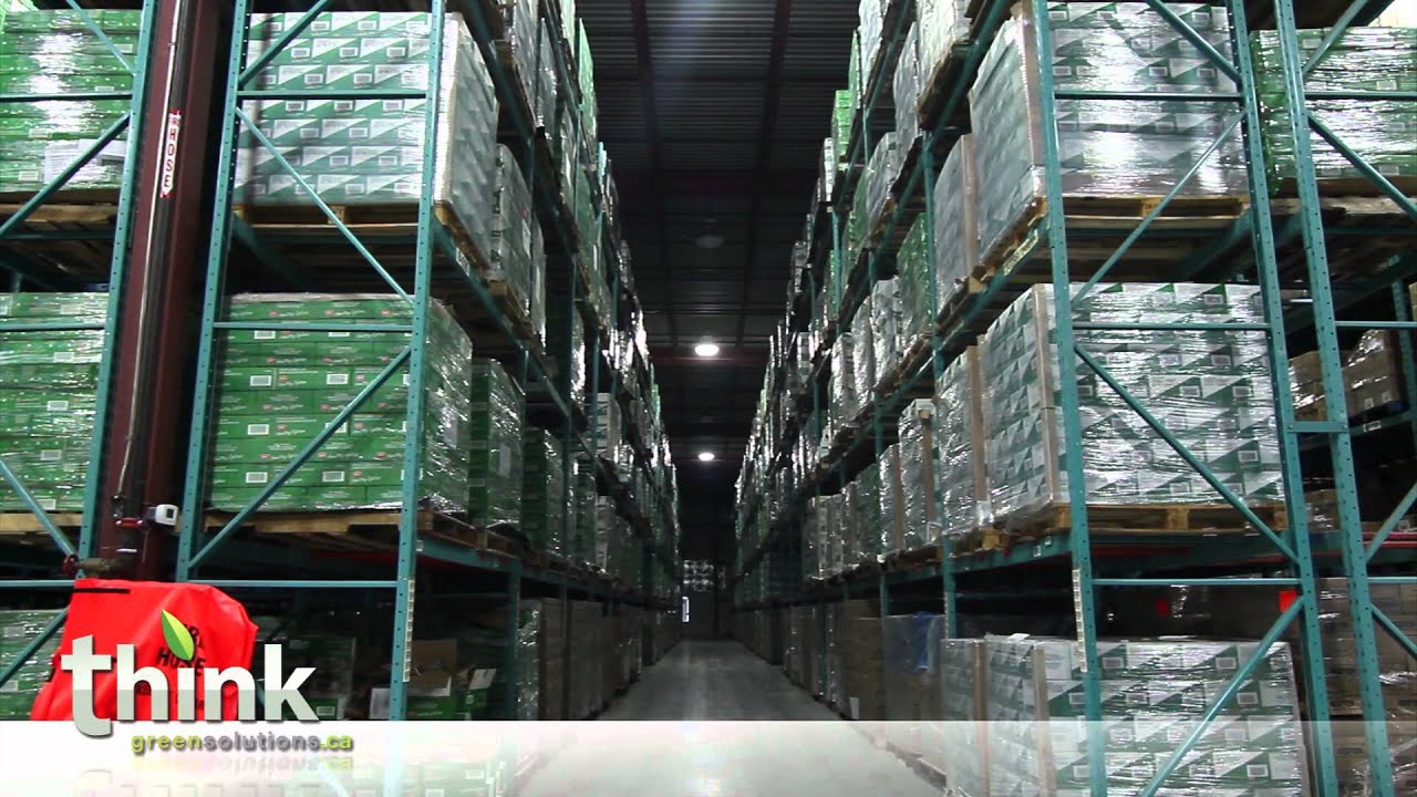 Think Green Energy Solutions - motion sensor demo - YouTube