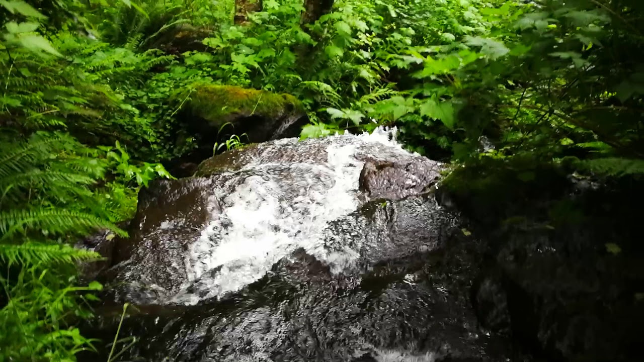 Kilchis River Hike - Waterfall - YouTube