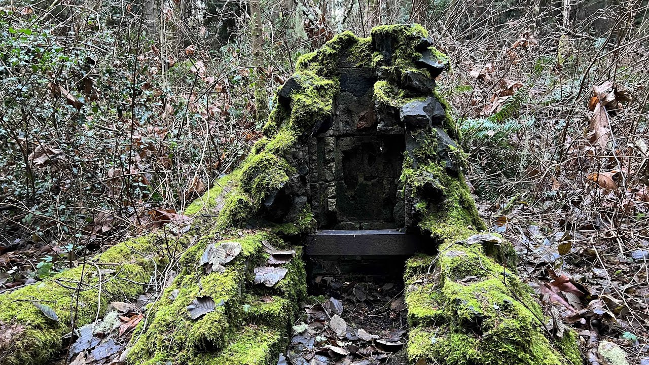 Into the Heart of Darkroot Forest: The Quest for the Tunnel of Doom ...