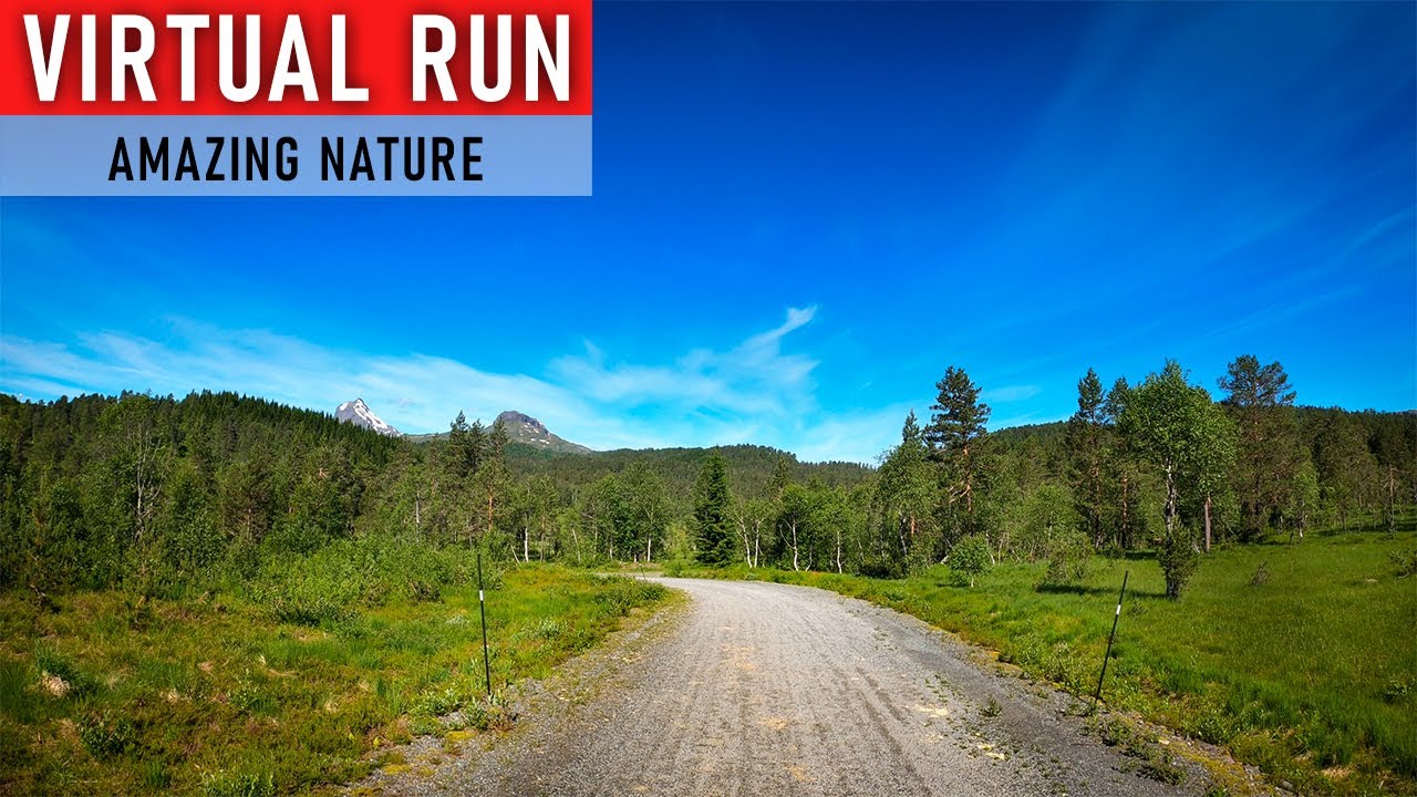 RECOMMENDED Virtual Run | Beautiful Trailrunning In Relaxing Nature ...