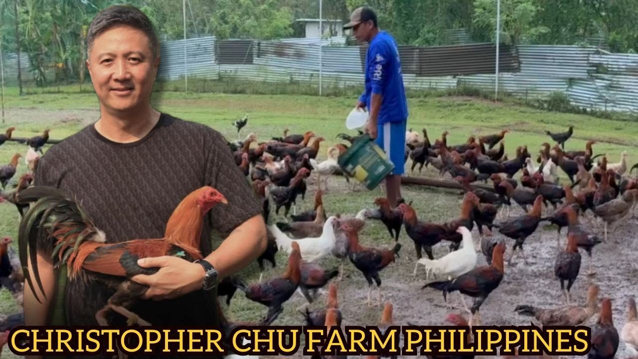 Christopher Chu Best Big Farm Philippines - YouTube