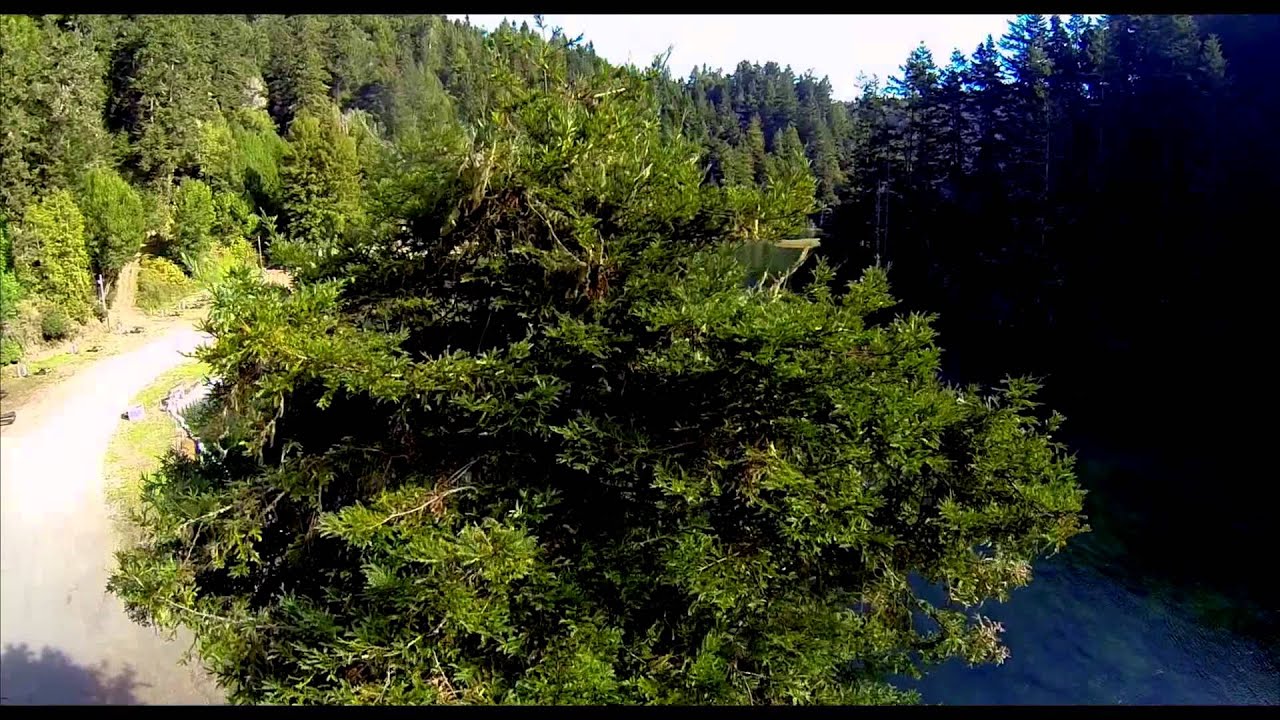 Albion River Park - YouTube