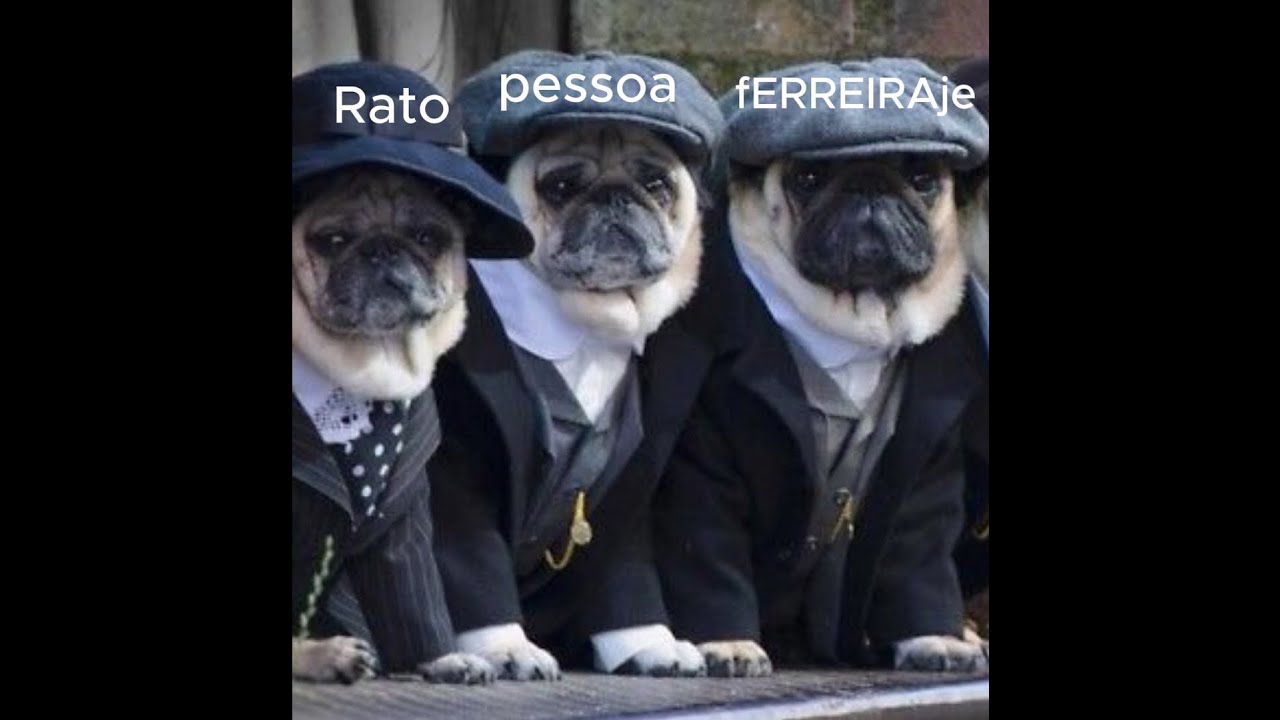 TRIO TAGE Pessoa & Rato🧃 & fERREIRAje Peaky Blinders 🚬| Atlantic RP 🌊# ...