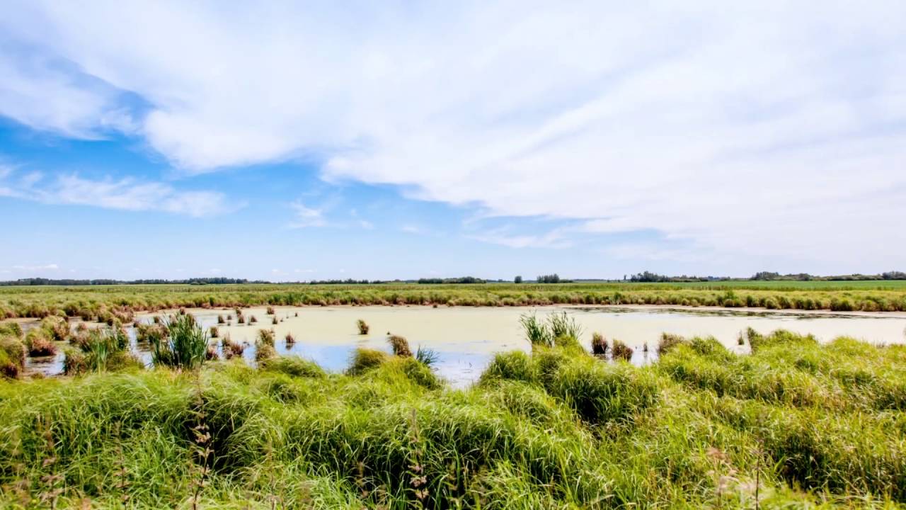 Farm Time Lapse - YouTube