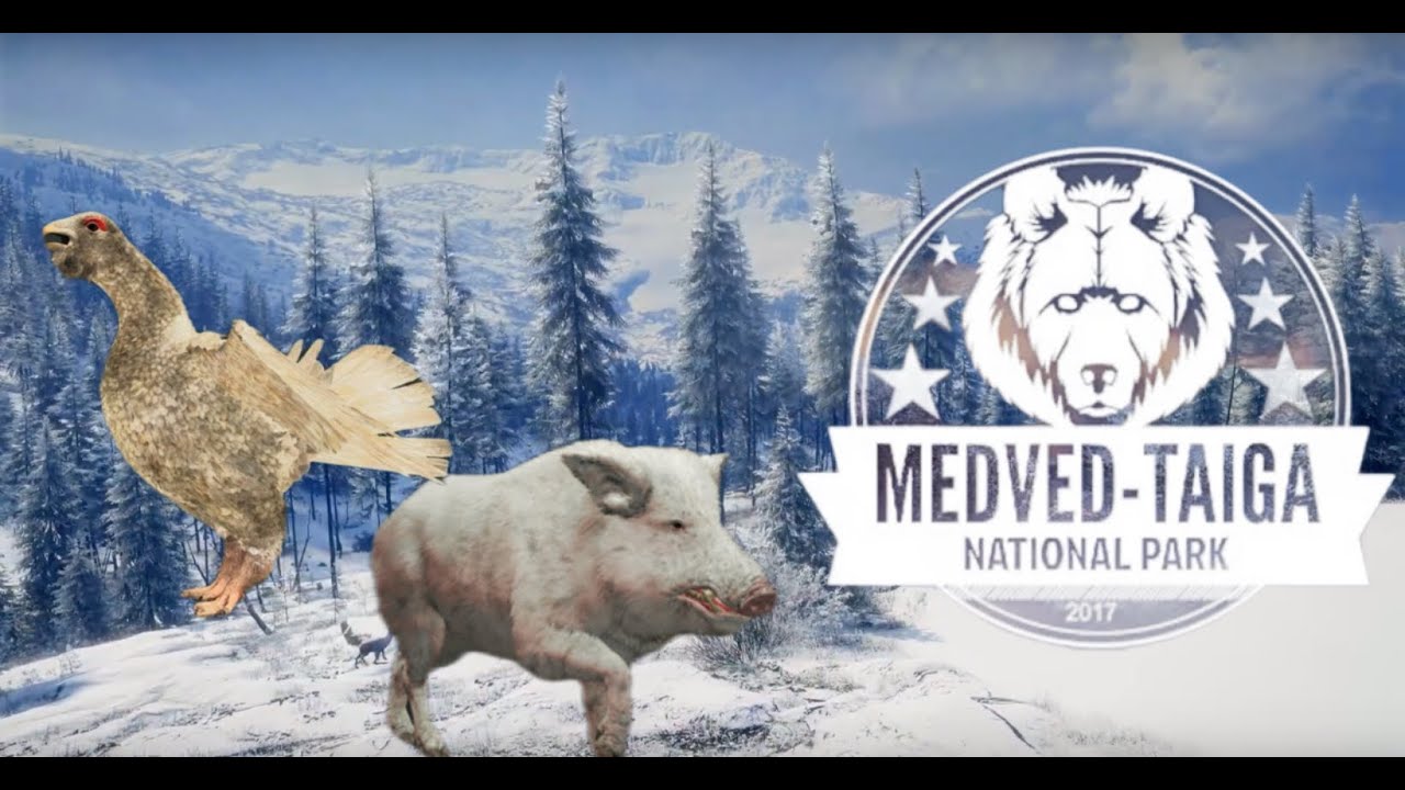 Ultimate Hunt: Shooting Every Animal on Medved-Taiga! - YouTube