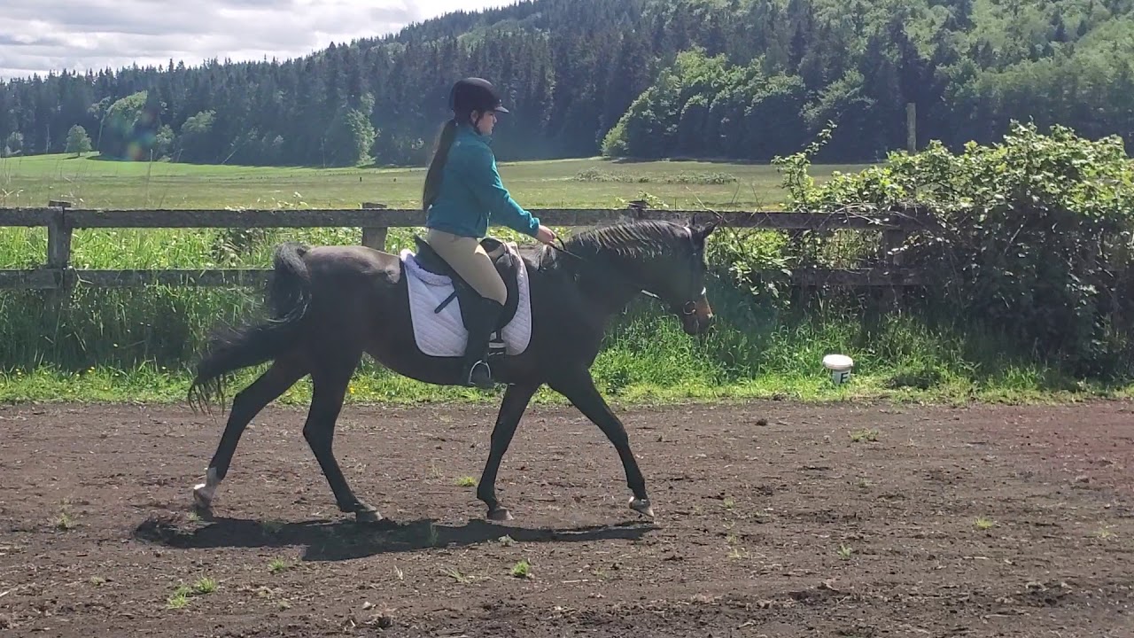 Addison Staley/SA Black Stones - Class #22 - YouTube